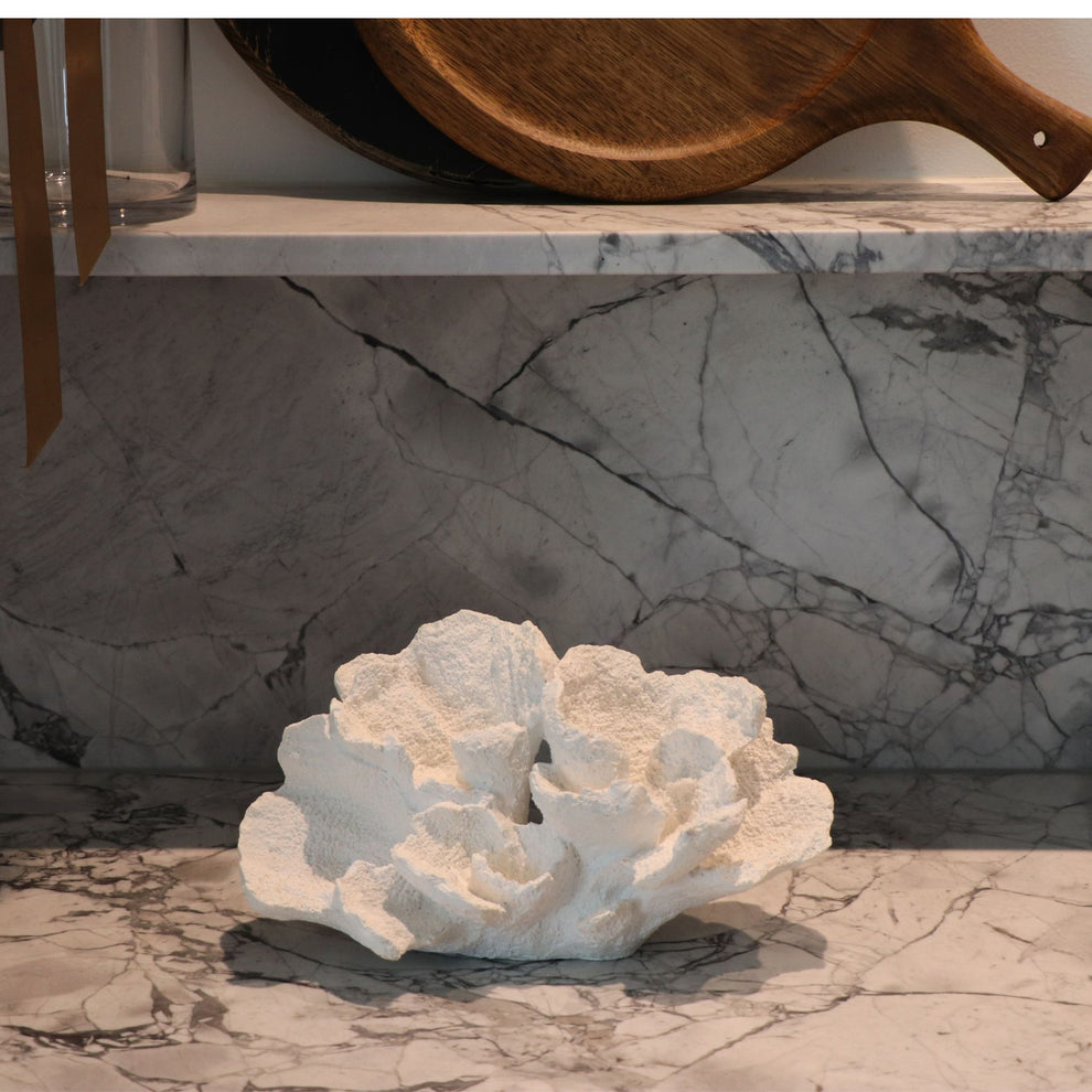 Laguna White Coral Decor | Realistic Coastal Accent 26.5cm – Adorned ...